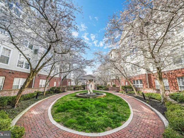 801 S Greenbrier Street # 113