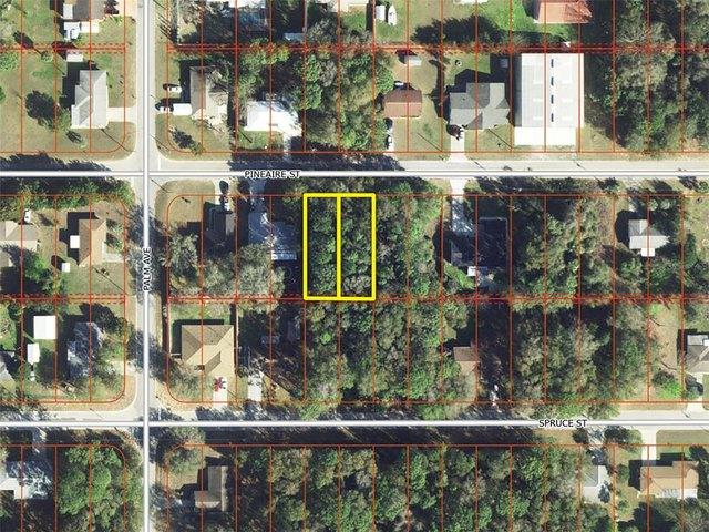 801 Pineaire St, Inverness, FL 34452
