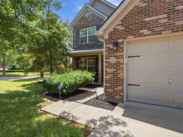 801 White Wood Flat