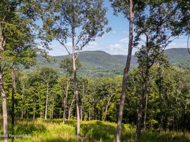 8025 Highway 22, Stop 84, Copake, NY 12517 | MLS #20253