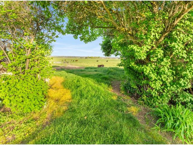 80279 powerline rd
