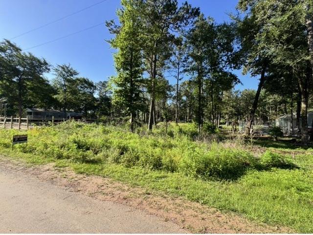 8020 Tawny Berry Ln, Plantersville, TX 77363