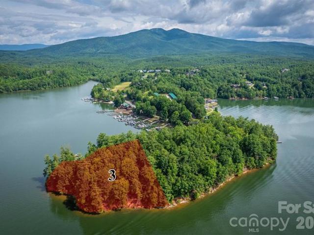 802 Marina Dr Unit 3, Nebo, NC 28761