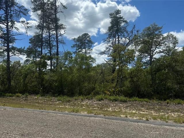 8036 N Wayside Ave, Dunnellon, FL 34433 | MLS #TB8500 | Compass