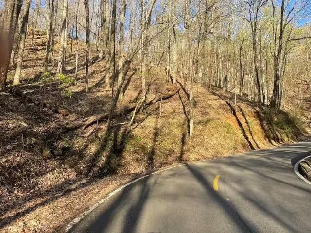 8038 Wilderness Pkwy, Jasper, GA 30143 MLS 7417656