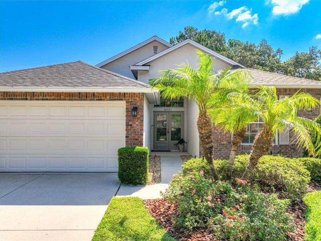 8031 Arcadian Ct, Mount Dora, FL 32757
