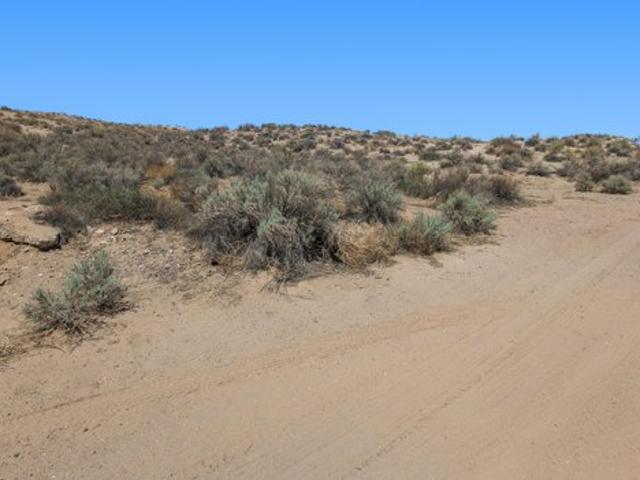 803 Acebo Rd NE, Rio Rancho, NM 87124