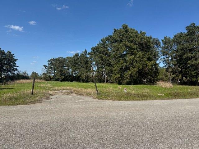 803 Lizzie Ln, Tomball, TX 77375