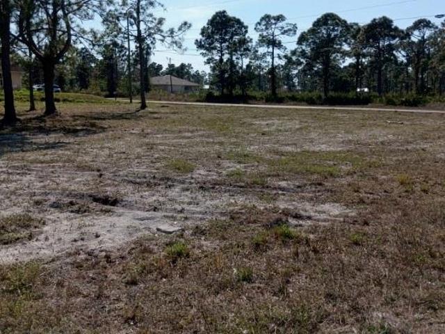803 Puccini Ave S, Lehigh Acres, FL 33974 | MLS #225024