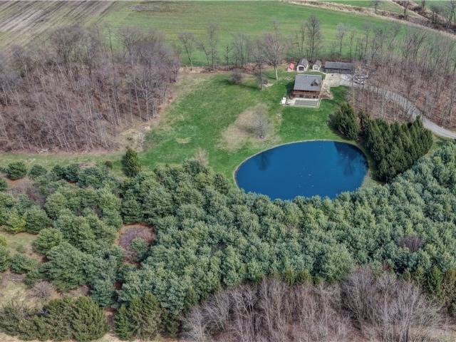 8045 Mcfadden Road