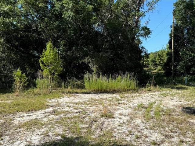8045 NE 307th Ave, Fort McCoy, FL 32134 | MLS #O6216