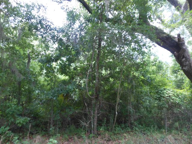 8046 Cedar Hall Road