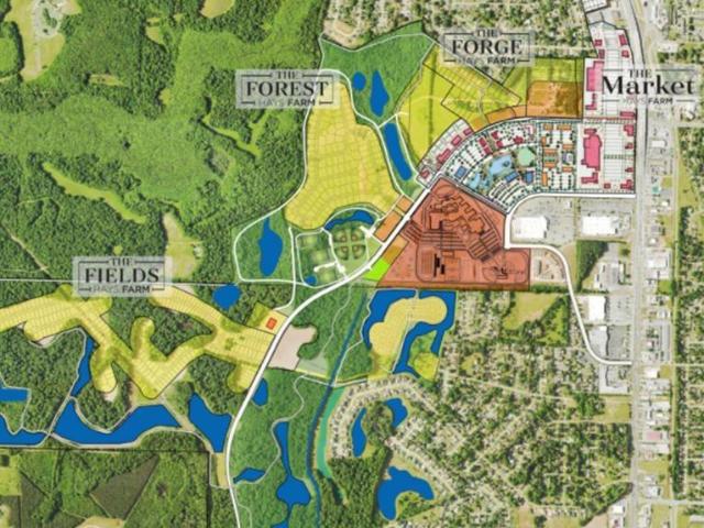 8046 Tupelo Gum Trace