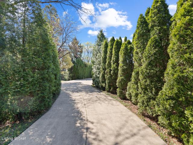 8040 Watterson Trail