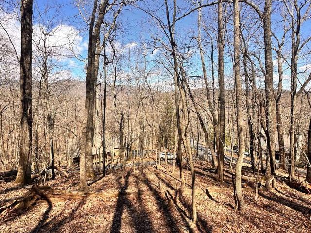 8041 Wilderness Parkway