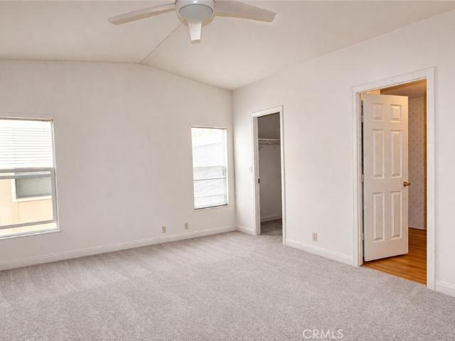 804 Eucalyptus