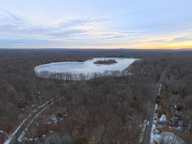 804 Selig Rd, Pocono Lake, PA 18347 | MLS #PM 138260 | Compass