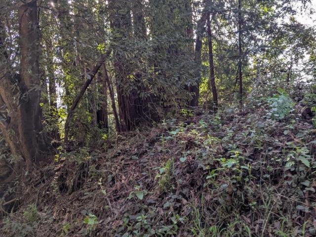 8055 Glen Haven Road