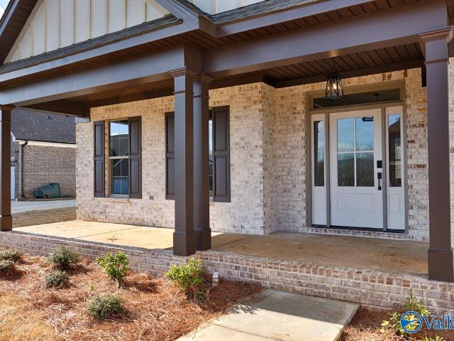 8058 Tupelo Gum Trace