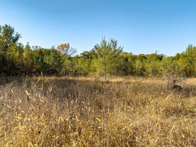 8052 Buck Ridge Rd, Janesville, IA 50647