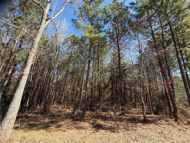 805 County Road 3210, Jacksonville, TX 75766 | MLS #21187