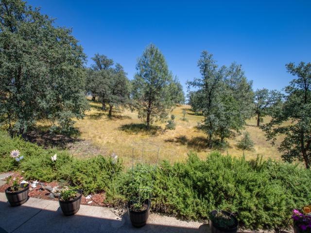 805 Cherryhill Trail