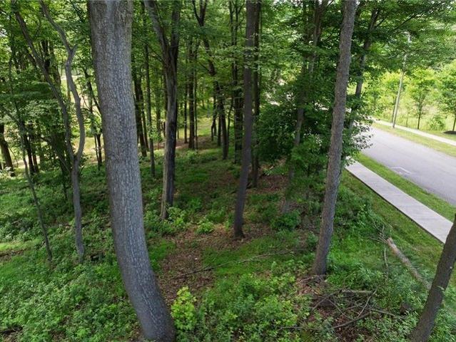 805 Mount Pleasant Rd, Mars, PA 16046
