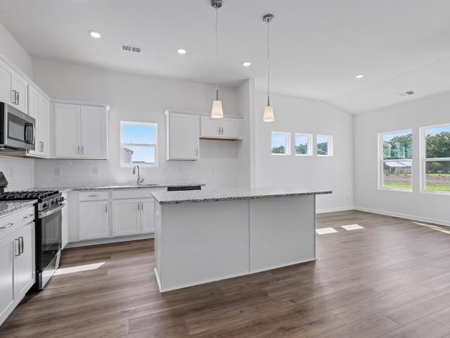 805 Wild Indigo Dr