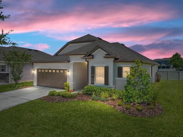 8064 Olive Brook Dr, Wesley Chapel, FL 33545