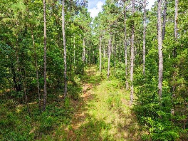 8065 County Road 227, Houston, TX 75847