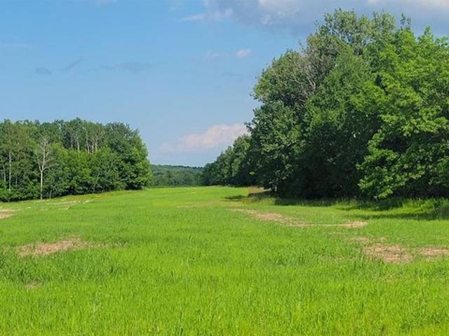 806XX County Highway E Id 38623 Lot Tax, Mason, WI 54856