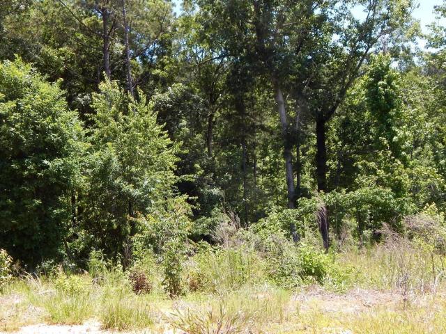 806 Hugh White State Park Road