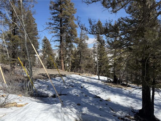 806 Middle Fork Vista, Fairplay, CO 80440 | MLS #S1067