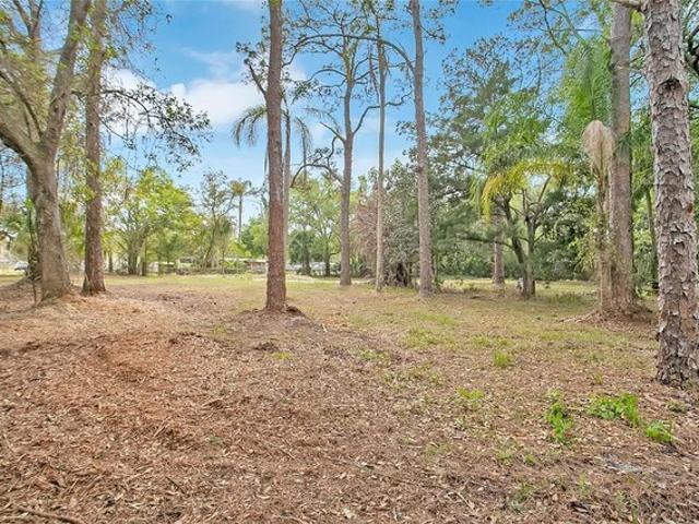 806 Saint Nicholas Ave, Christmas, FL 32709