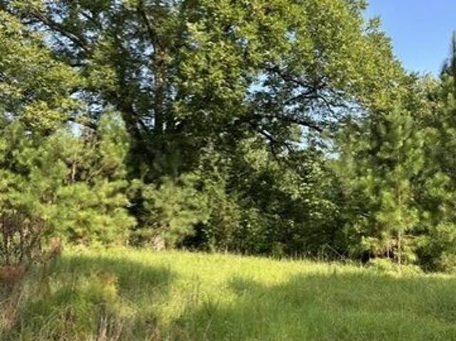 806 Pea Ridge Rd, Juliette, GA 31046