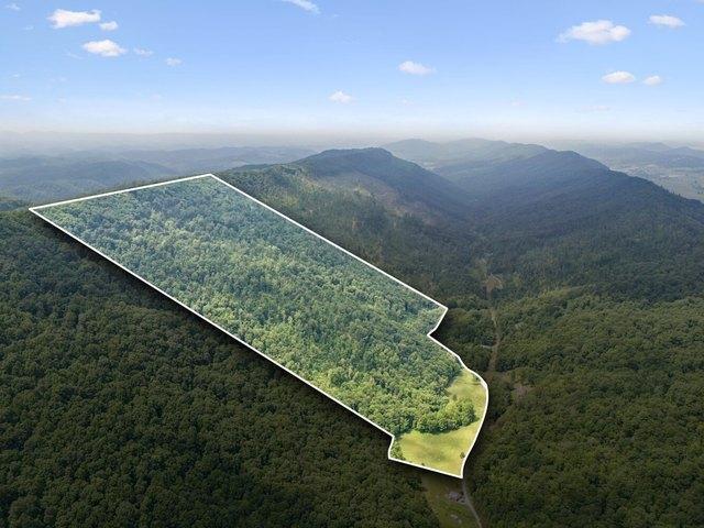 8075 Snake Hollow Rd, Sneedville, TN 37869