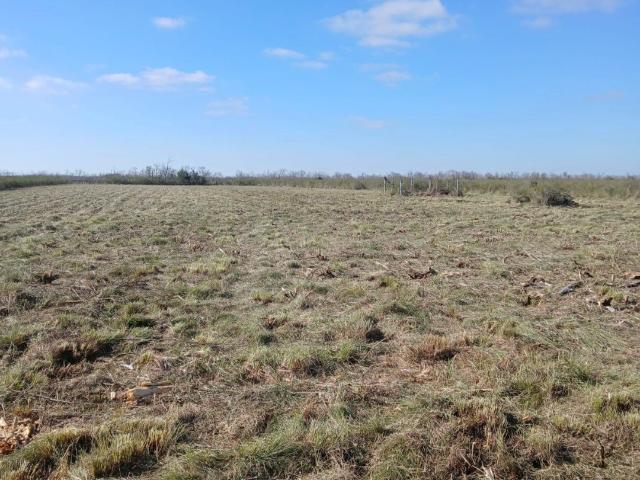 807 County Road 807