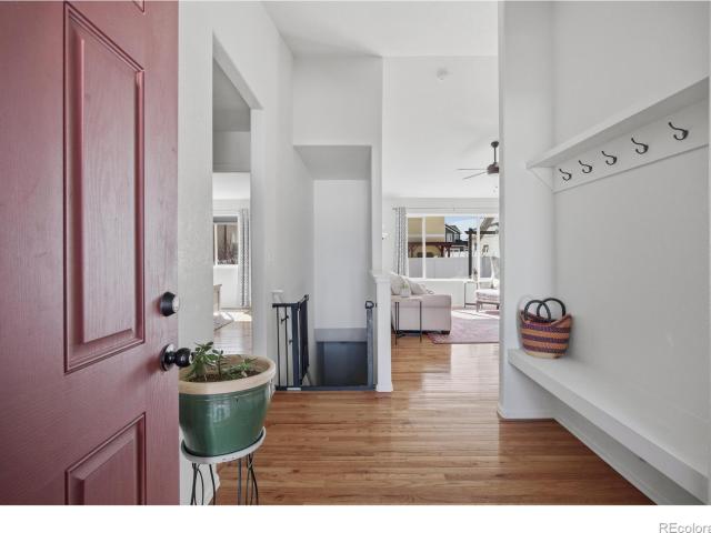 807 Saiga Drive