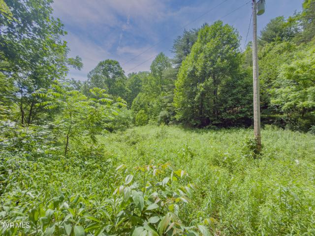 807 Wyatt Hollow Road