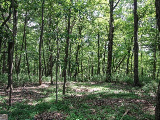 8088 Ridgeview, Big Canoe, GA 30143