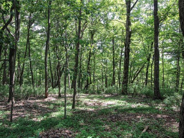 8088 Ridgeview Dr, Big Canoe, GA 30143 | MLS #7685