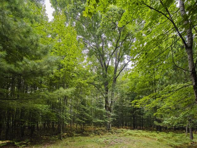 8089 Hunter's Ridge Trail