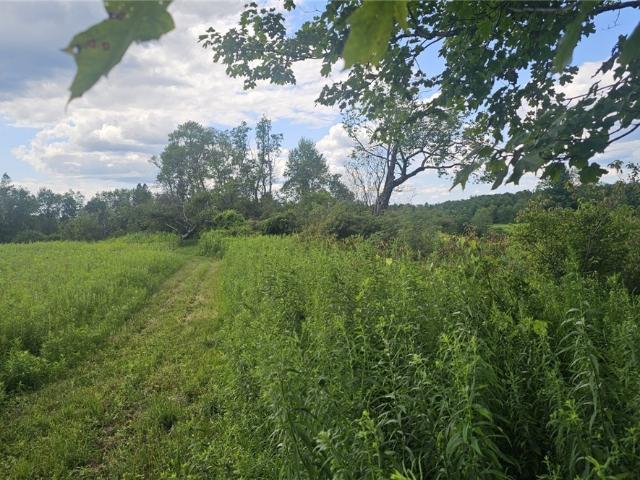 8083 Link Road