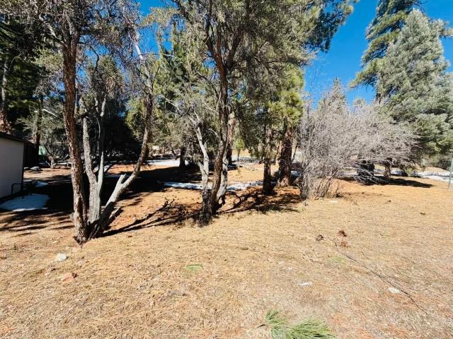 808 Antelope Mountain Drive