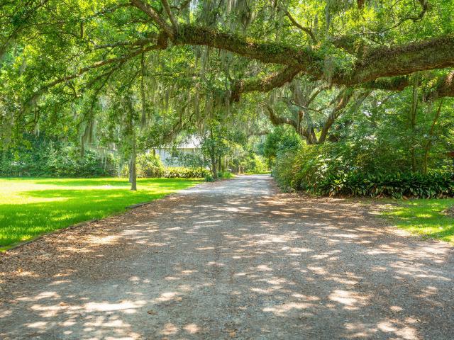 808 Society Rd, McClellanville, SC 29458 | MLS #26008