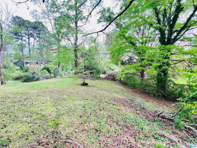 809 Cedar Springs Road
