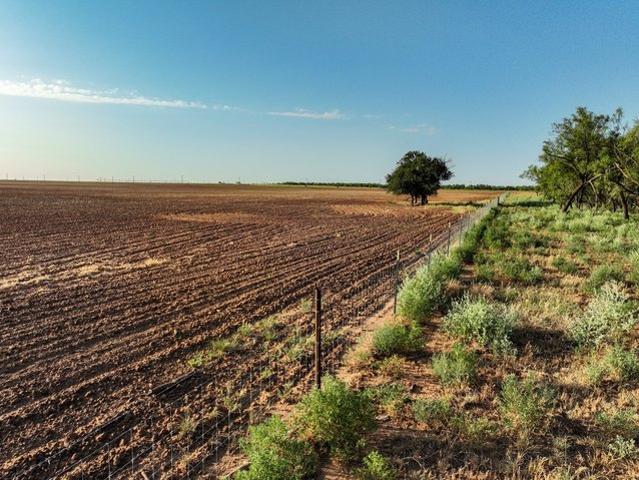 80 4220 County Rd, Knox City, TX 79529