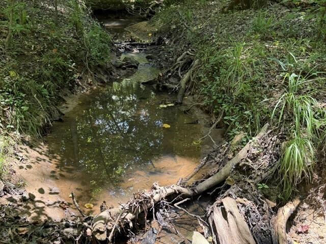 80.61 ACRES Howard Neal Road