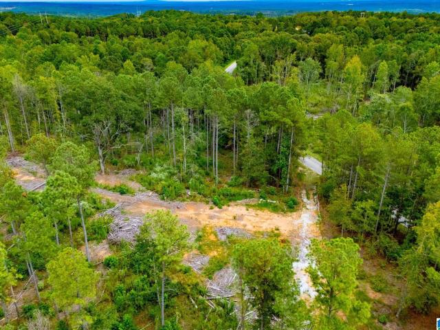 80.73 acres county road 99 # 00