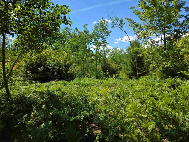 80 VL Mackinaw Trail